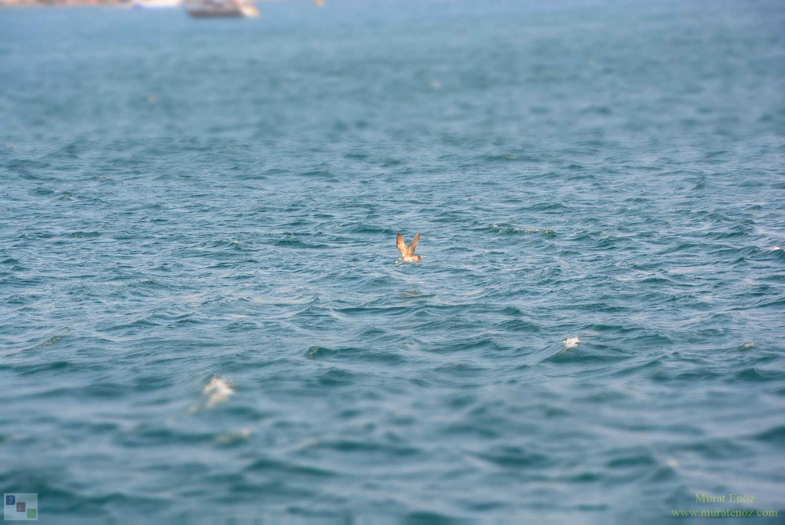 Ortaköy - Boğaz Turu Fotoğrafları (Bosphorus Tour Photos)