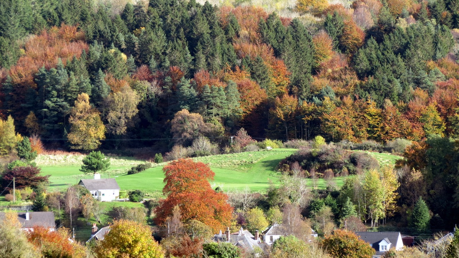 The Glebe Blog: A landscape walk in Galloway
