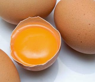 Salmonella: Salmonella: Especie y Etiología