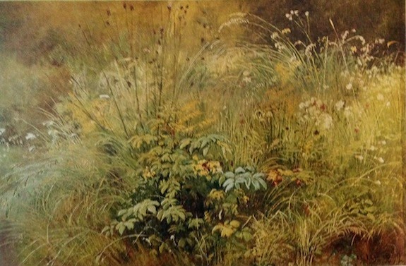 Christopher Volpe's Art Blog: Spring Tufts