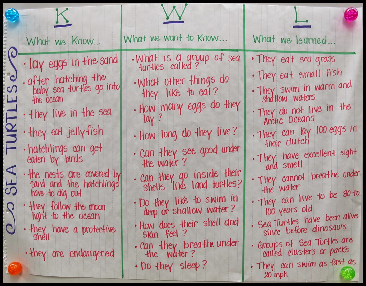 Kearson's Classroom: All About Sea Turtles