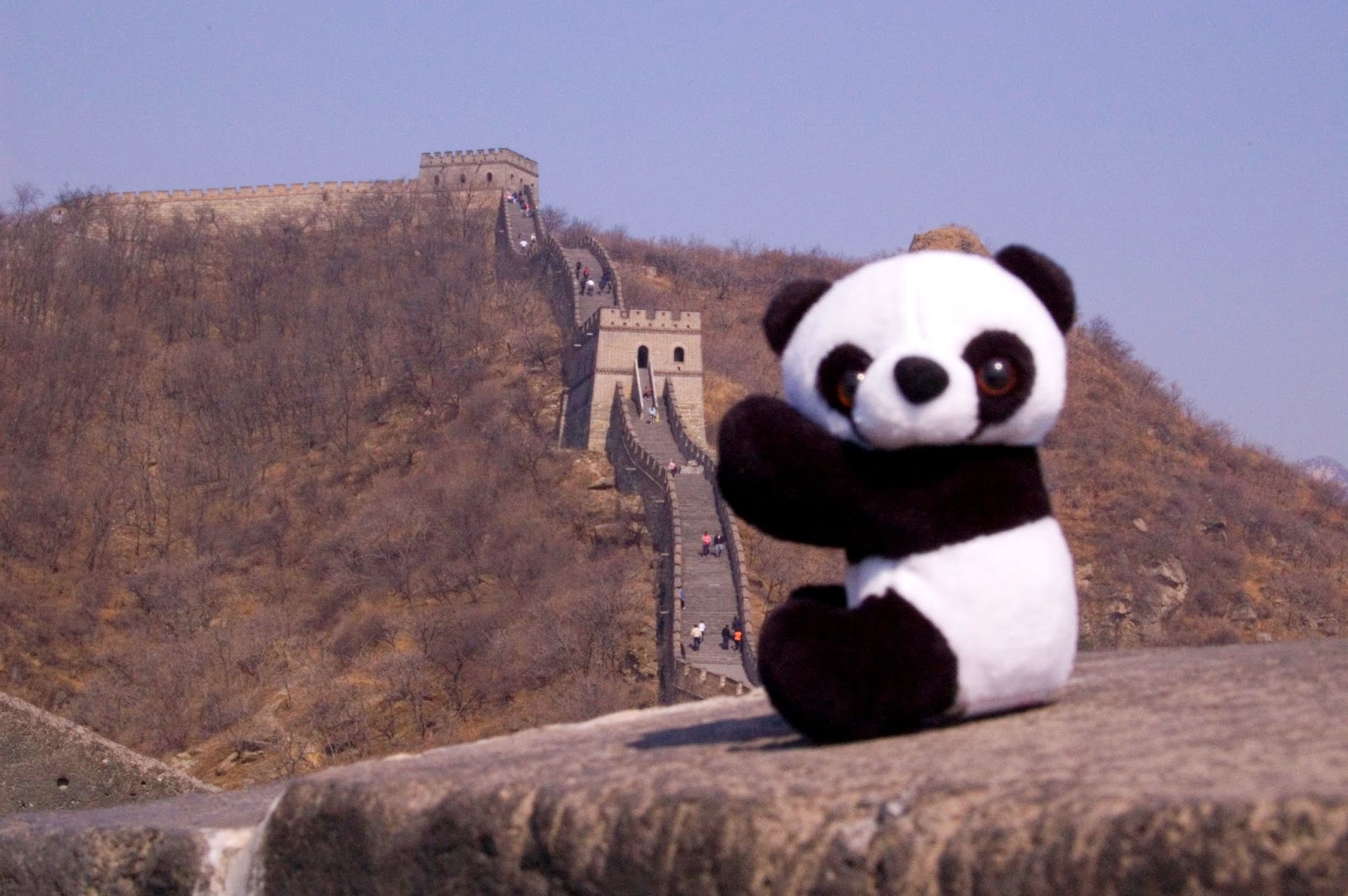 Finding The Write Exposure: Amazing Photojournal Idea: Leading Around ...