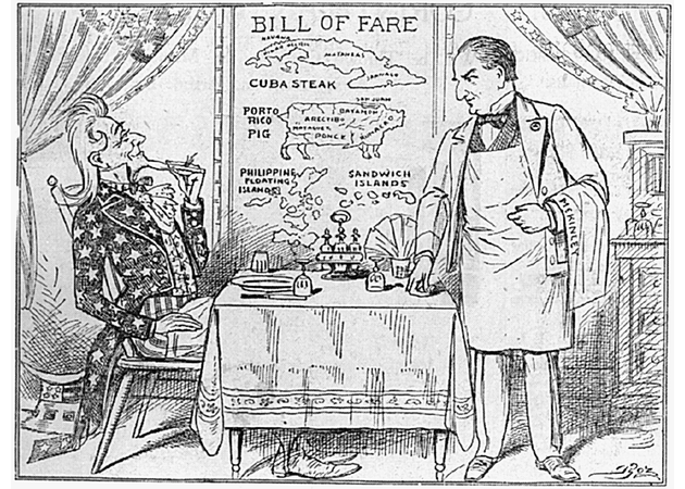 US History Michallik: Political Cartoons