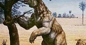 Tierra de megaterios