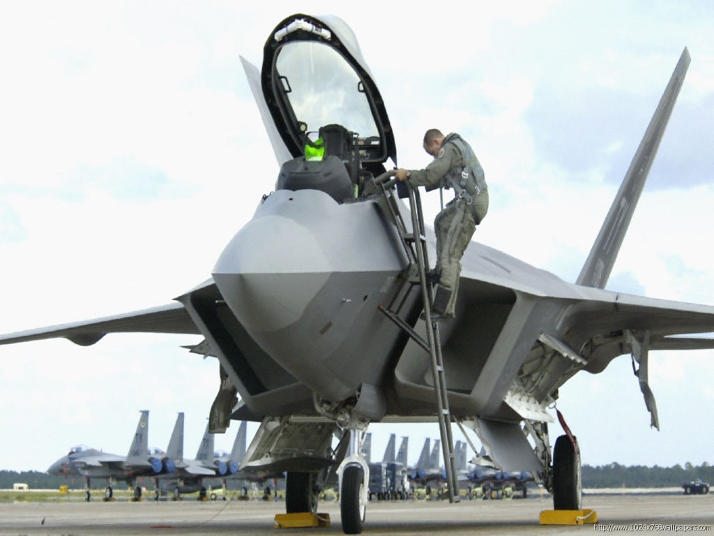 Military Information House: F-22 Raptor