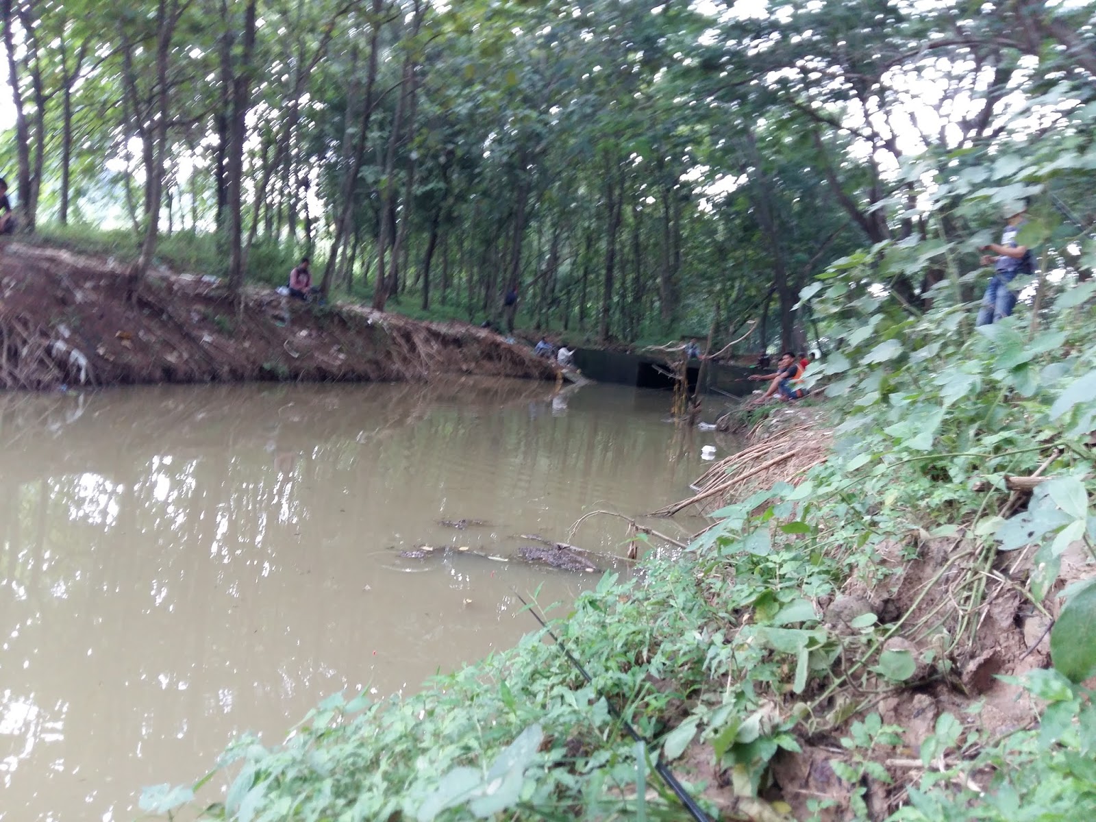 Lokasi Mancing Jaer Mantap Di Delta Mas Cikarang - KITA MANCING YUK Lokasi Mancing Jaer Mantap Di Delta Mas Cikarang - KITA MANCING YUK