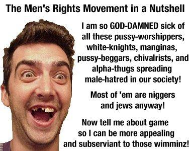 The Men's Rights Movement is a LIE.: The Men's Rights Movement in a ...