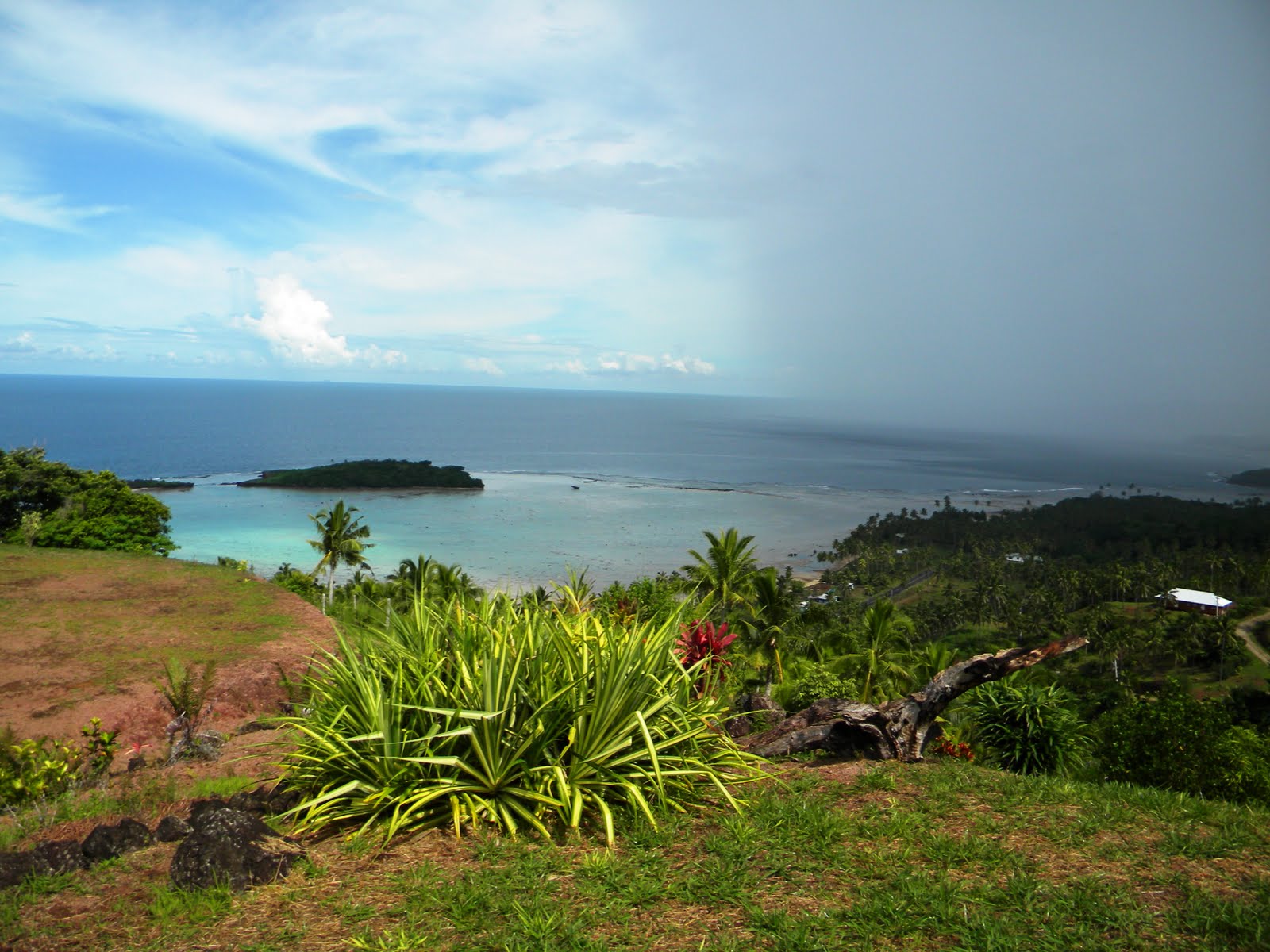 The Dog Lived (and so will I): Fiji Continued...the scenery