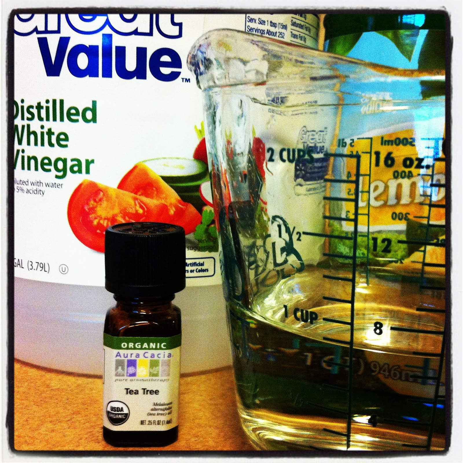 our carlson life: diy thursday: homemade natural all-purpose cleaner ...