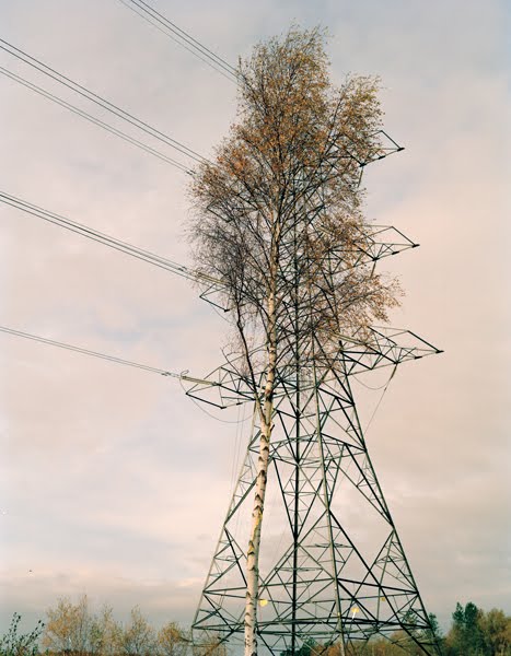 Secret Lexicon: Landscape: Robin Friend