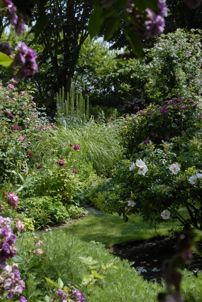 Promesse de roses: Le jardin de Morailles (45) : un écrin pour les ...