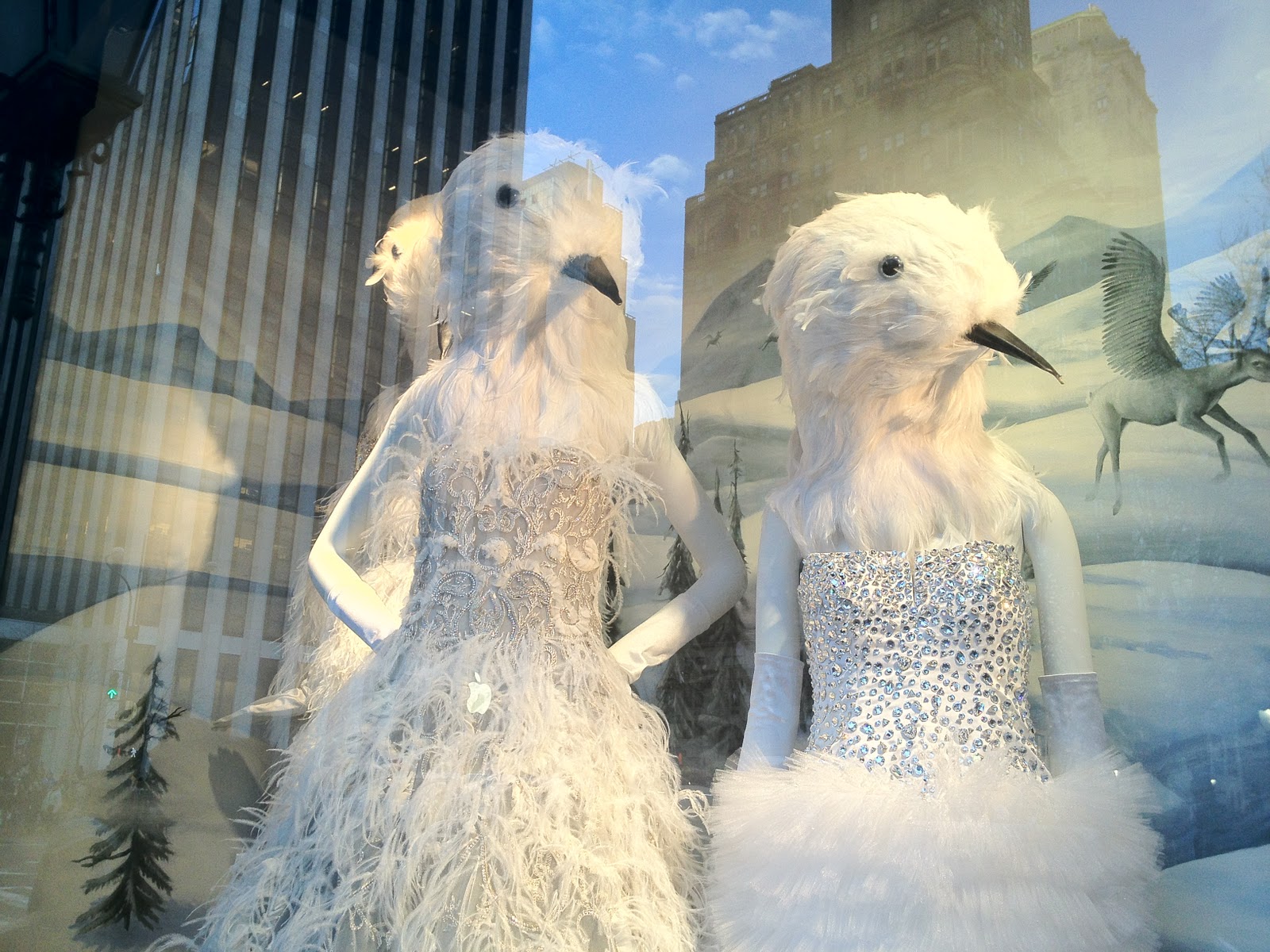 The Caledonian Mining Expedition Company: 2011