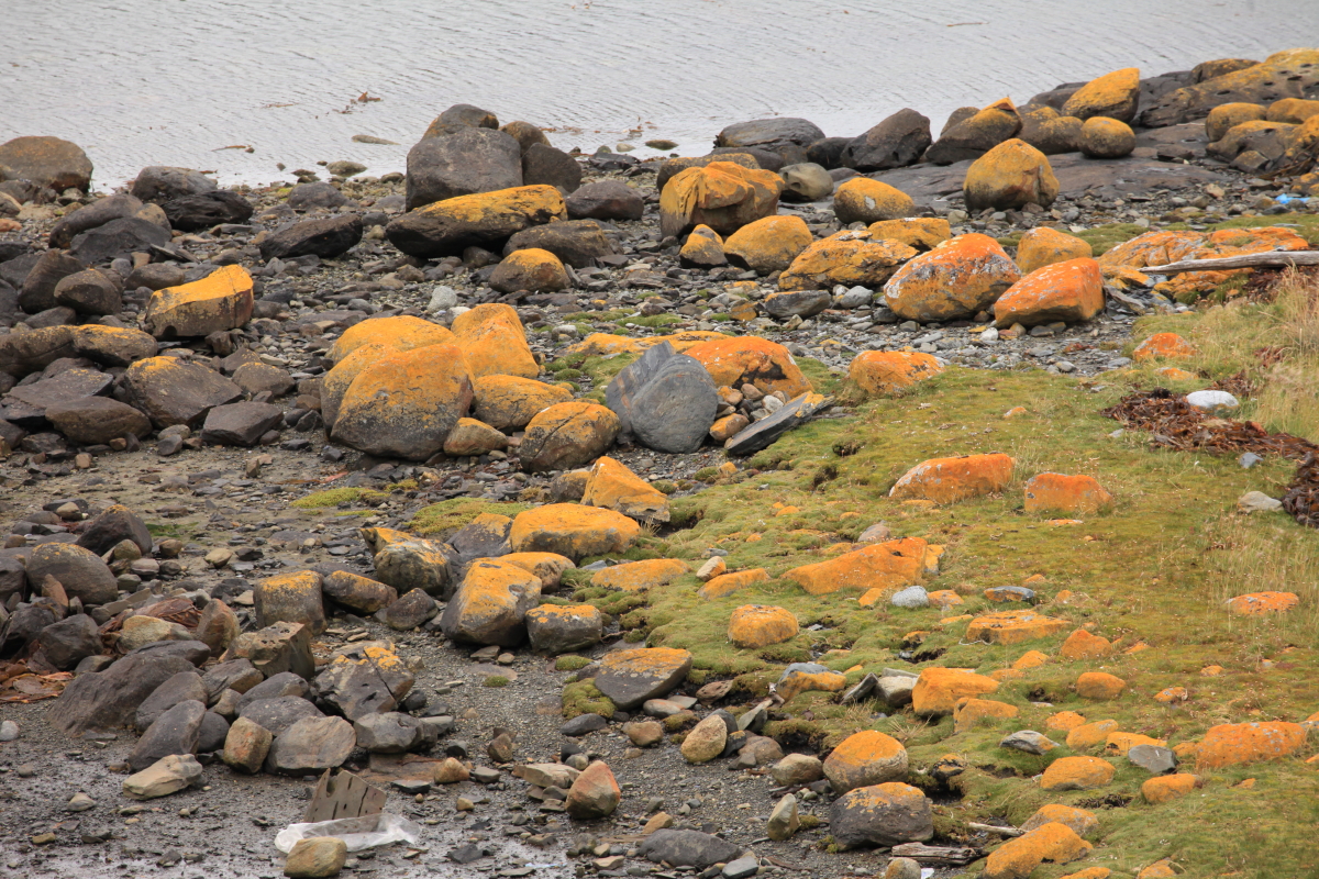 Earthly Musings - My Travel and Geology Blog: Rounding Cape Horn and ...