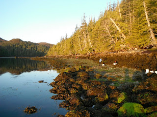 CHANS Lab Views: Clam Gardens and Clean Energy, Sarah Klain Oral ...