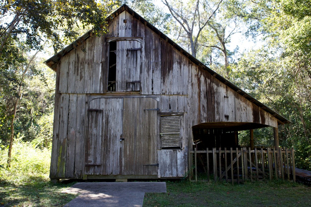 Nature Is Real: Walter Jones Historical Park