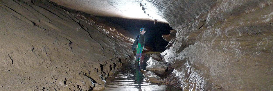 Don't Go There: December 2020