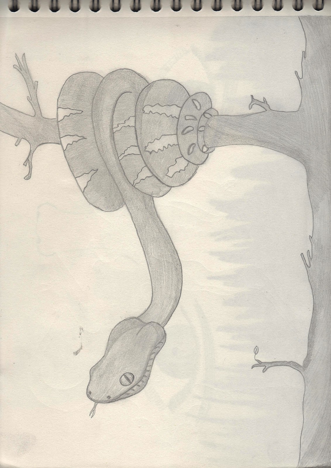 Dibujo Artísto y Volumen (Sandra García Díaz): Una composición vertical