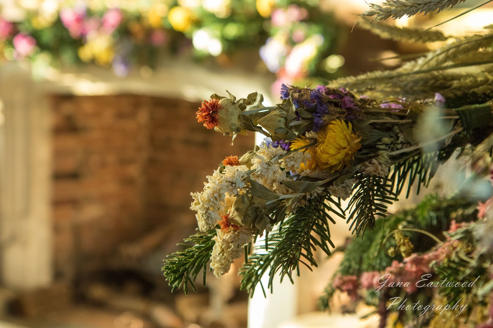 Escapes and Photography: Christmas at Baddesley Clinton