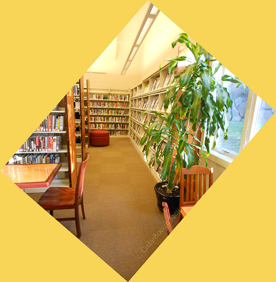 Footnotes: Lopez Island Library