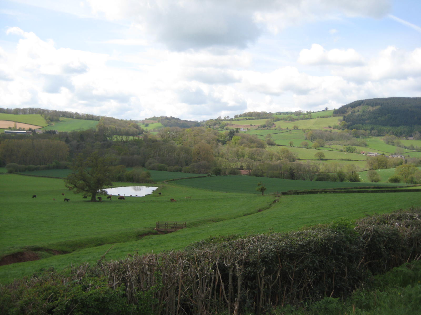 What a Load of Bloggers: Garway Hill, Herefordshire