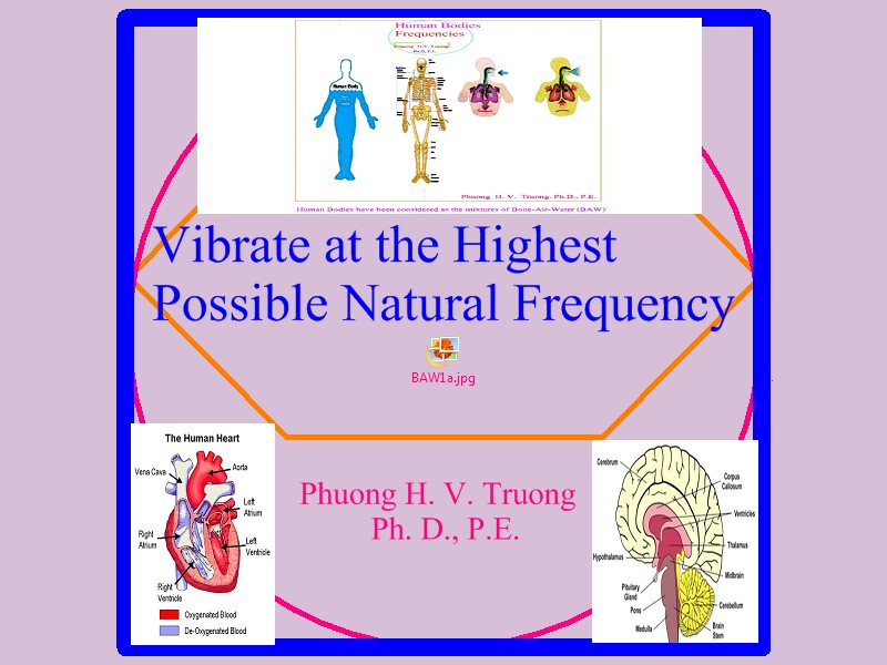 Natural Frequency of Human Body - The Realistic Path To Enlightenment ...
