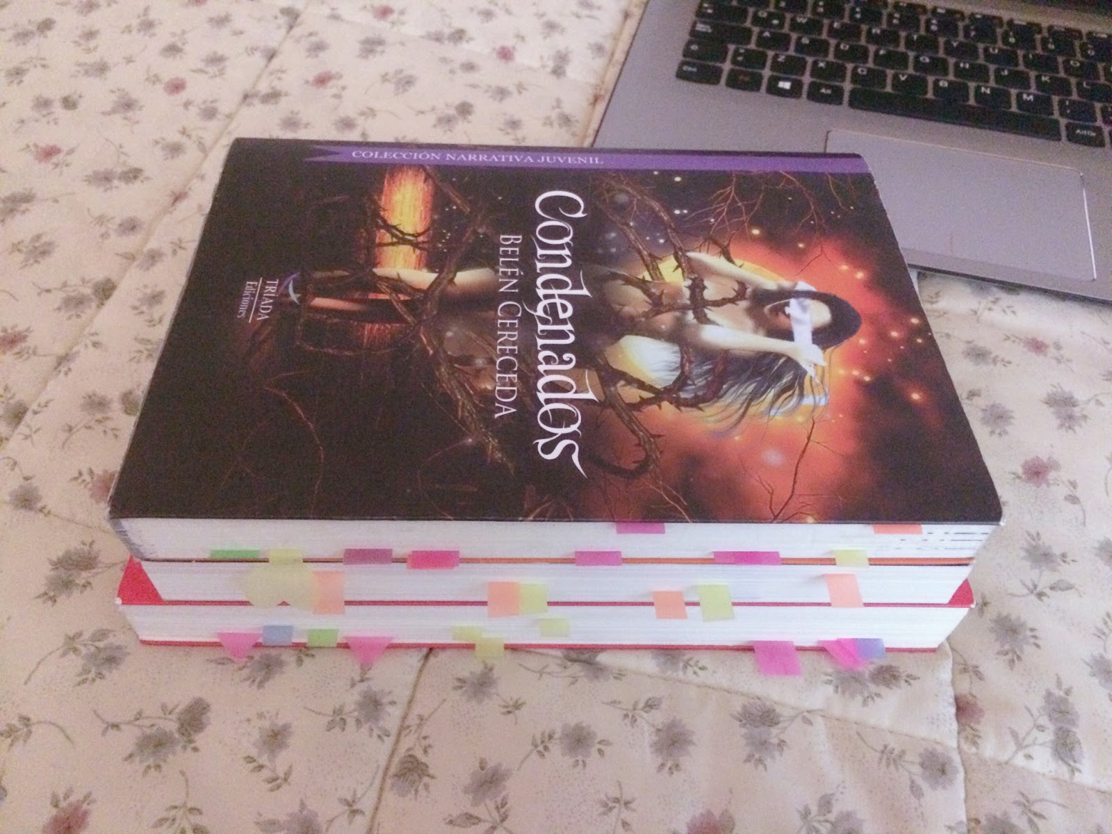 ¿Cómo marco mis libros? {Post it} ~ Enamorada entre Páginas...