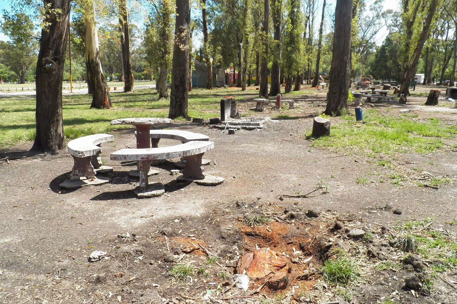 La Bahía perdida (Bahía Blanca, Argentina): Los eucaliptus del Parque ...