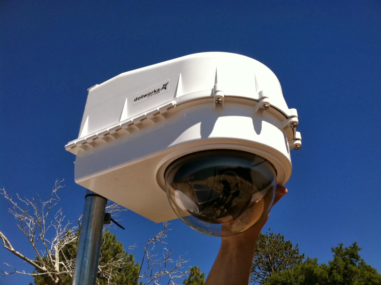 Ventana Wildlife Society: Condor Blog: October 2013