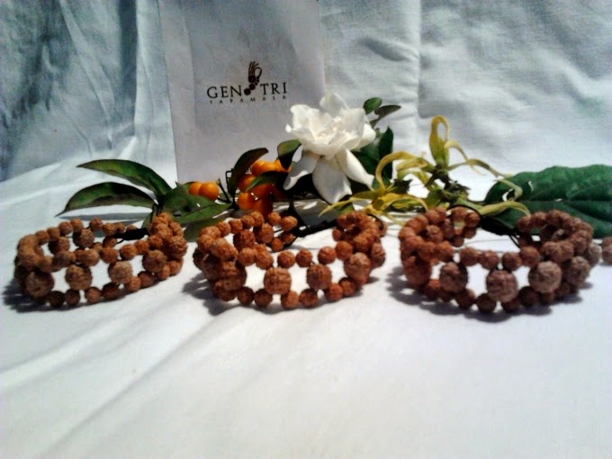 wawanepu: Genitri atau Rudhraksa