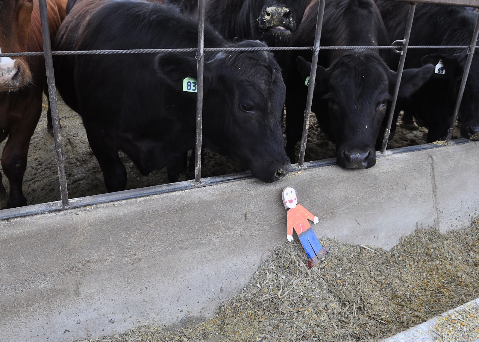 This Farm Family's Life: Flat Aggie...