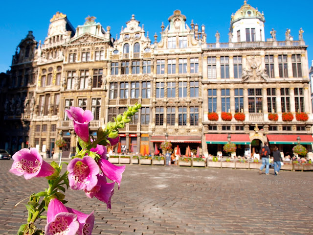 Zarawitta - Viaje al centro de la beca: [Bruselas] Puntos que sí ...