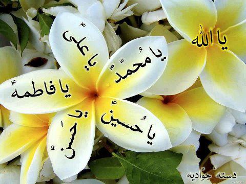 PANJATHAN PHOTOS COLLECTIONS