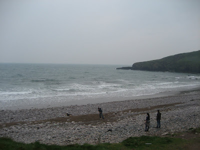 INSPIRED WALKS AROUND DEVON: Sharkham Point to Man Sands, Brixham ...