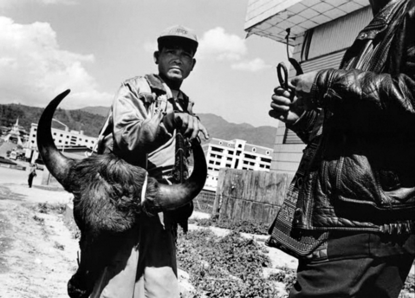 Anthony Luke's not-just-another-photoblog Blog: Trading to Extinction ...