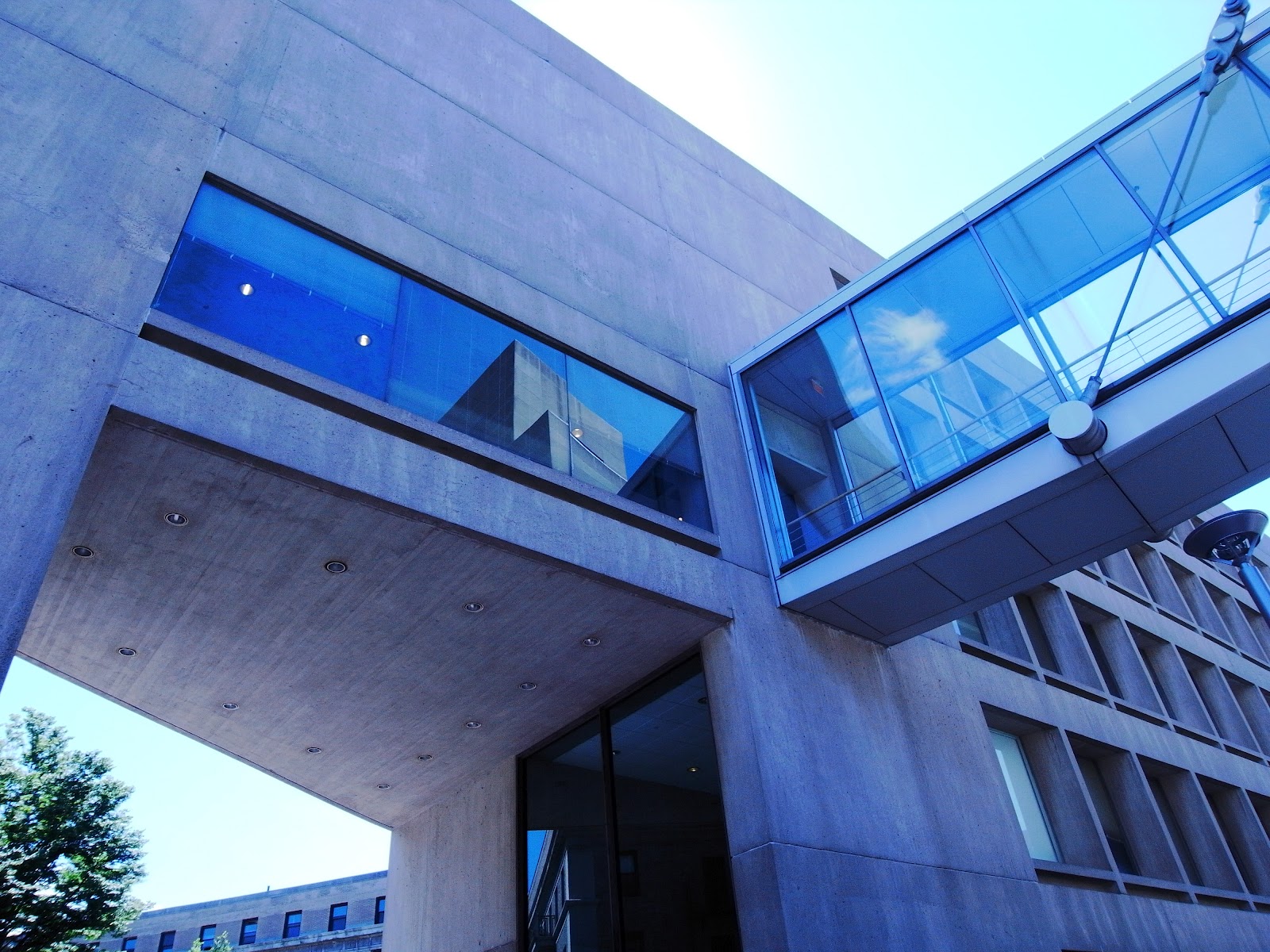 Architectural Tour in MIT 01 | architorture but pleasure.