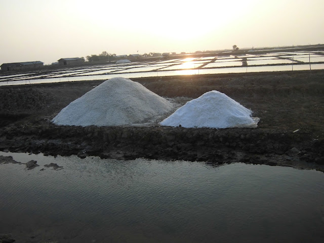 Plastik Tambak Garam: Pembuatan Garam Dengan Metode Tuf Geomembran