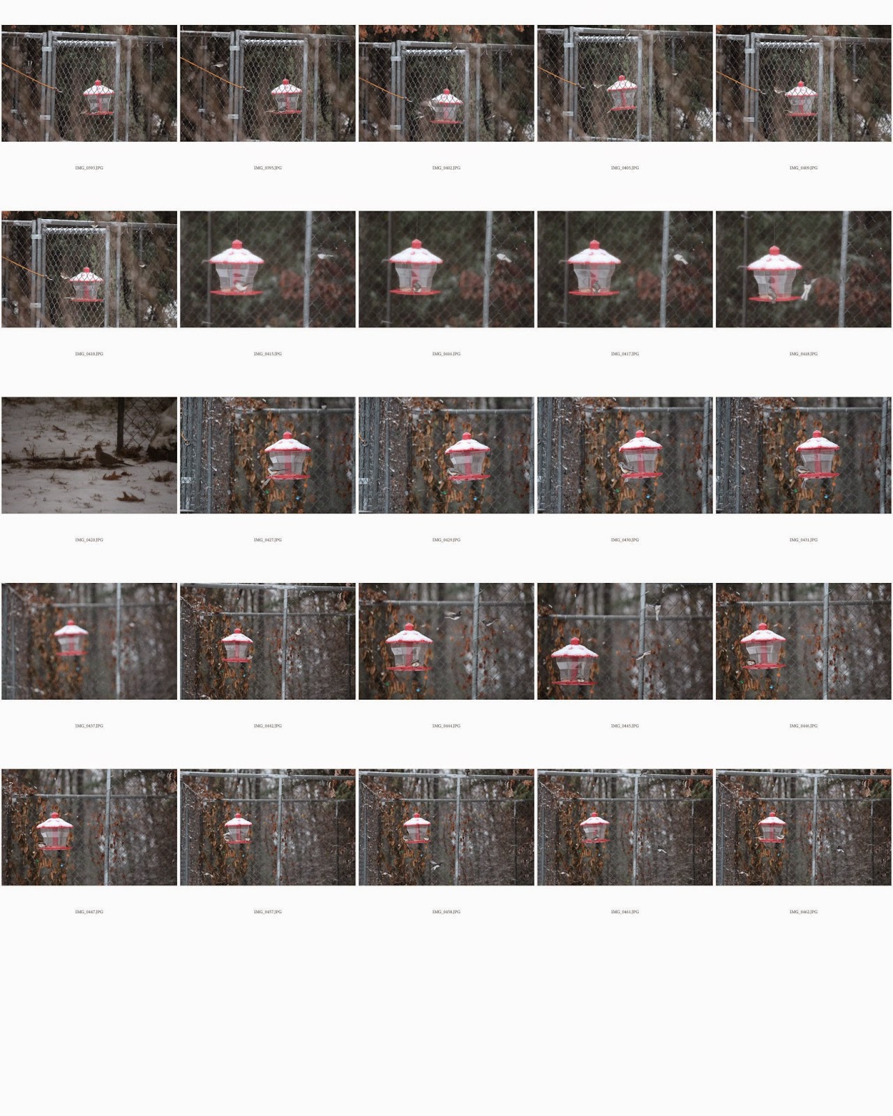 Photography Blog: Contact Sheets Blurred/Stop Motion