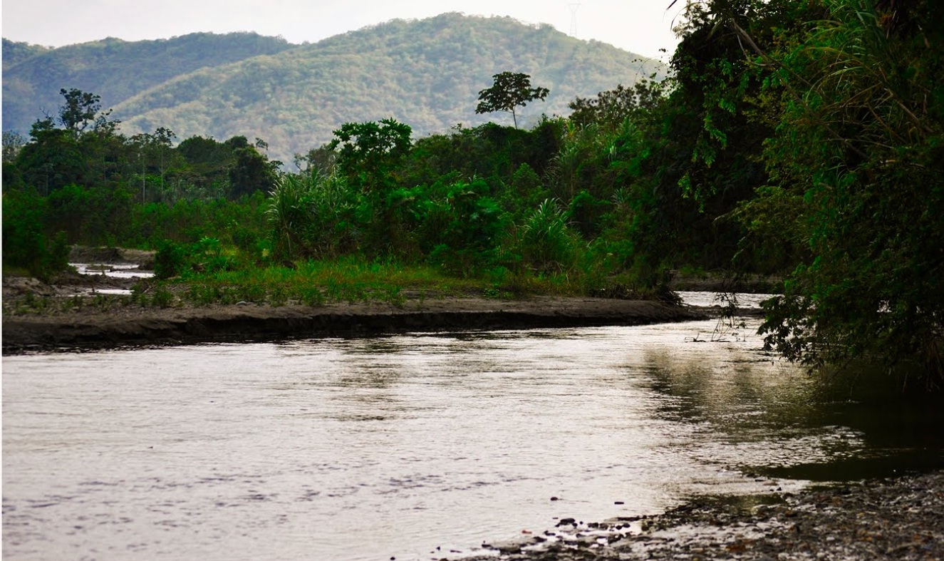 Bitácora y Memorias // Blog et Mémoires