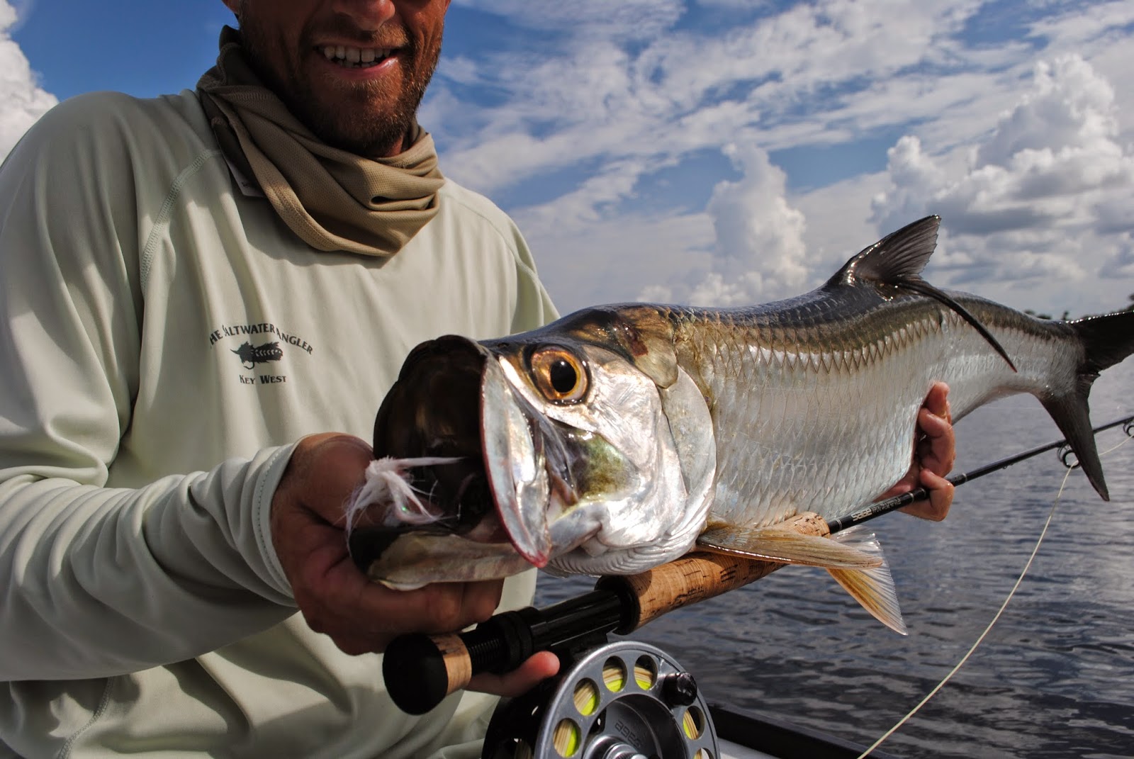 Wildfly Charter's Photo and Video