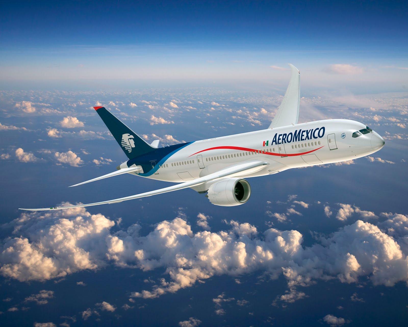 Aerolinea Rosario: Aeroméxico busca volar aviones propios