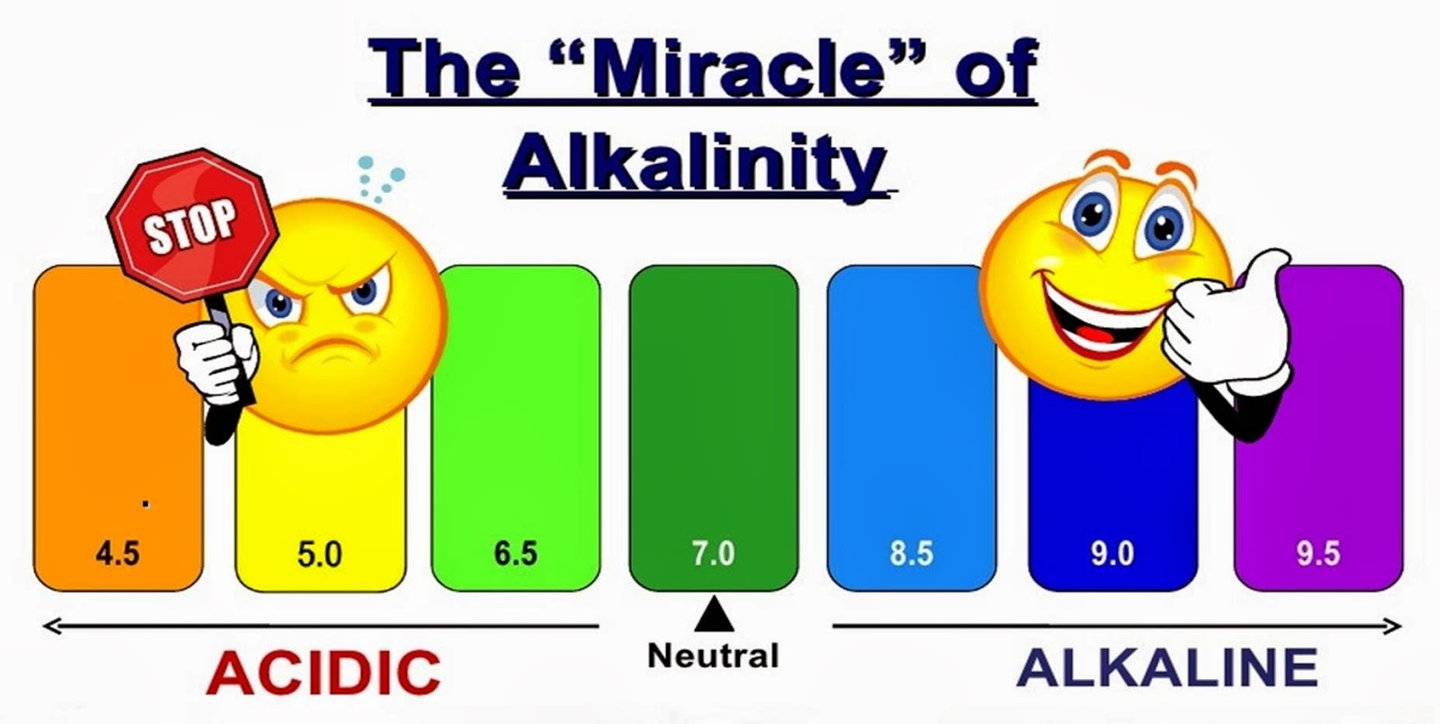 Kangen Water Bekasi: Apa Yang Akan Diberikan Tubuh Dengan Kondisi ...