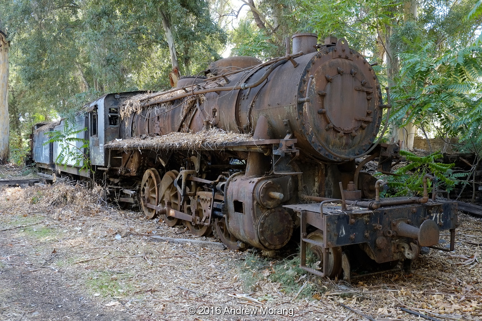 Urban Decay: Railroads of Greece 6: Abandoned Steam Trains, Myloi