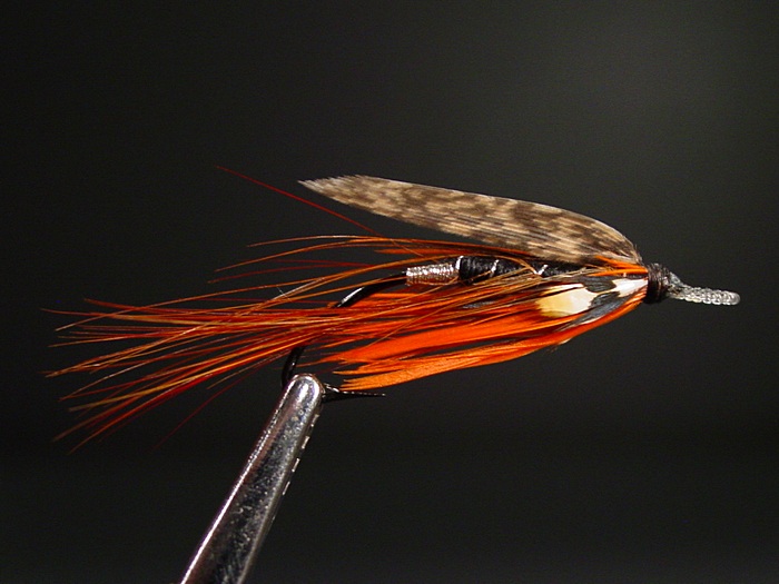 Tradd's Flies: Dee Fly