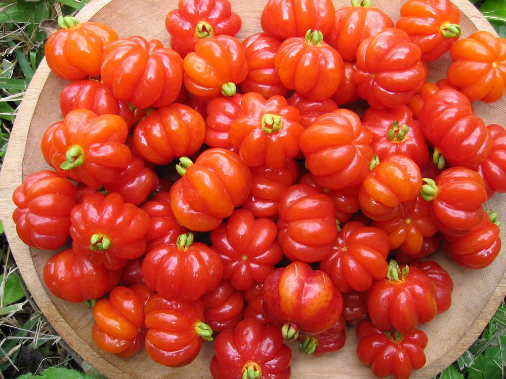 Los frutos de Colombia: Eugenia uniflora, ñangapiry, capulí, pitanga ...