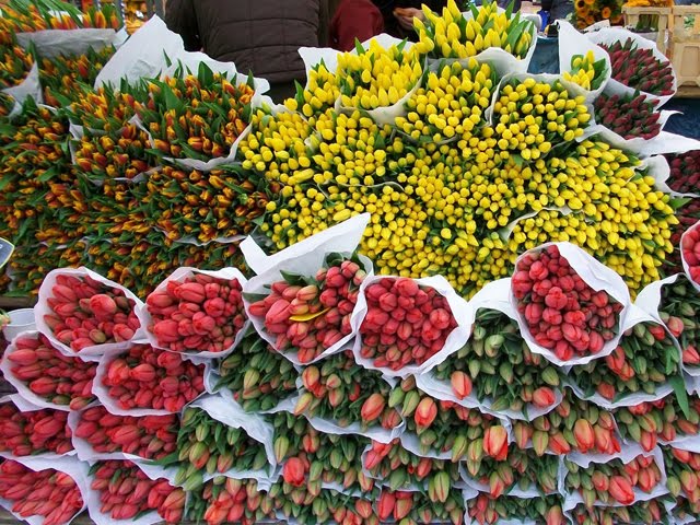 .: Senarai Harga Bunga Segar