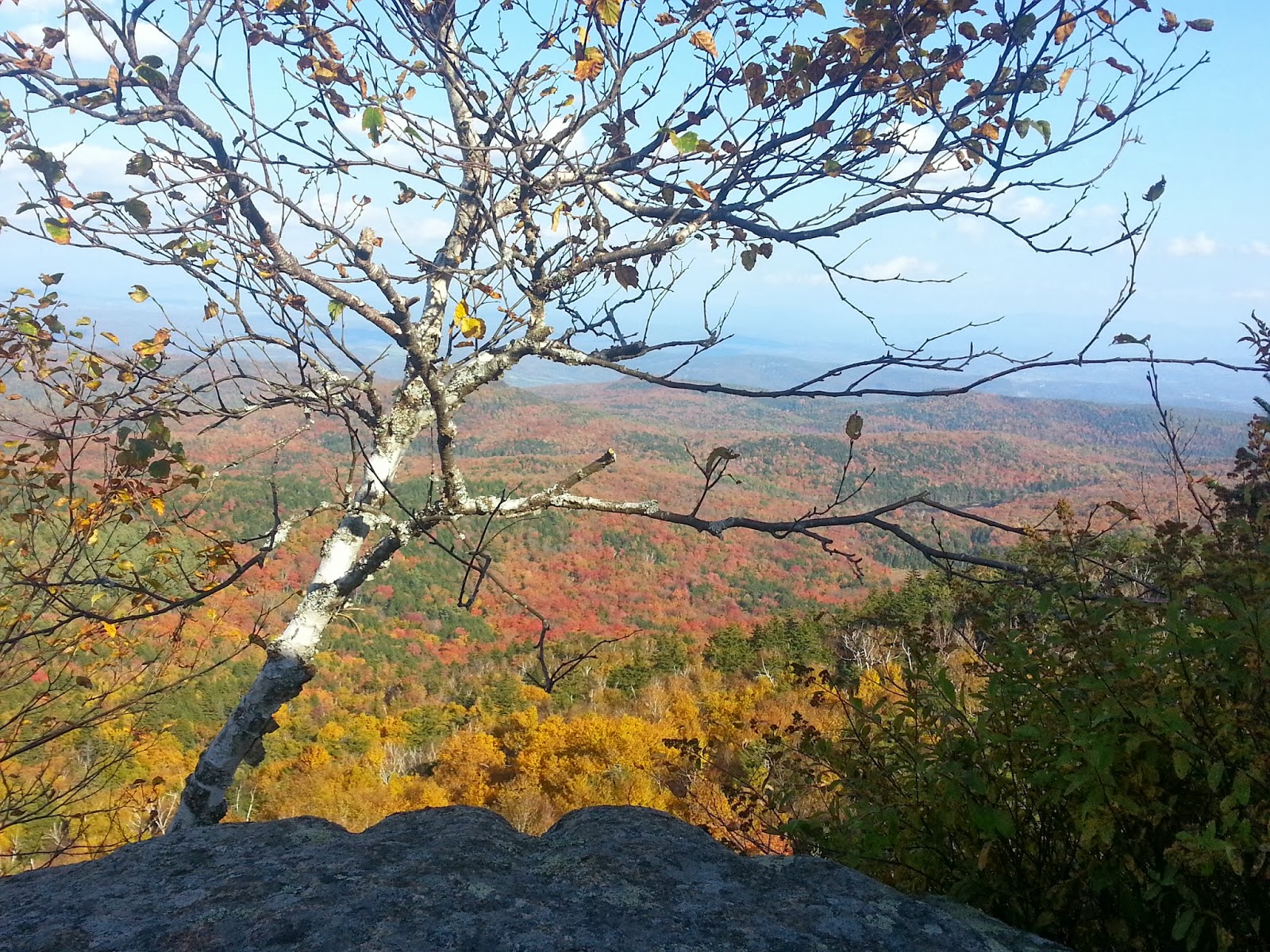 Simply Franee: Black Mountain, Clemons NY