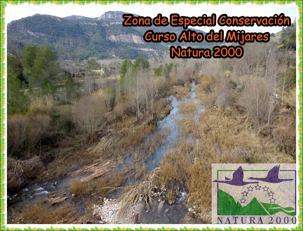 Curso Alto del Mijares "Red Natura 2000": Curso Alto del Mijares