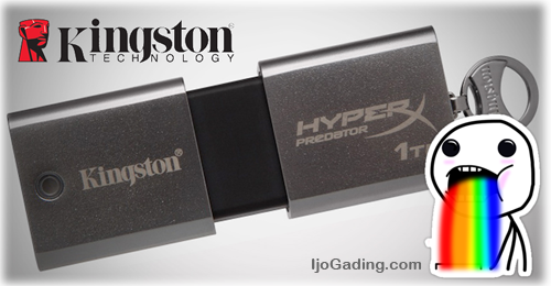 Edan, Flashdisk 1 TeraByte dari Kingston | wisbenbae