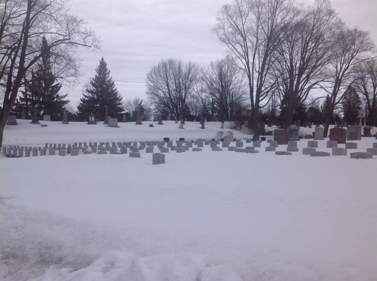 Canada's Anglo-Celtic Connections: A foot of snow won't stop the CWGC