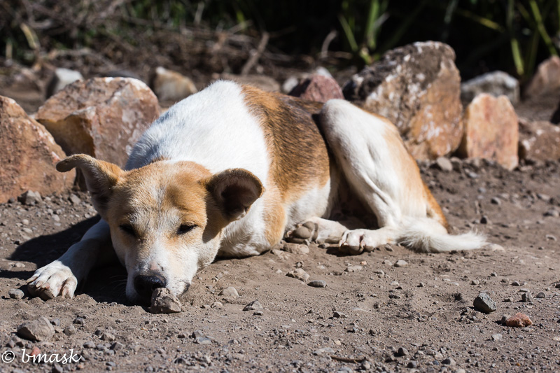 Y'all Come On In The Door's Open: Oldupai Gorge-Africa
